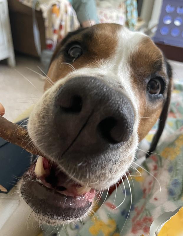 Discontinued - PEDIGREE Canine Cookout Chicken Flavored High-Protein ...