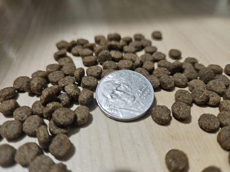 PETCUREAN SUMMIT Meadow Roast Recipe Dry Cat Food, 12-lb bag - Chewy.com