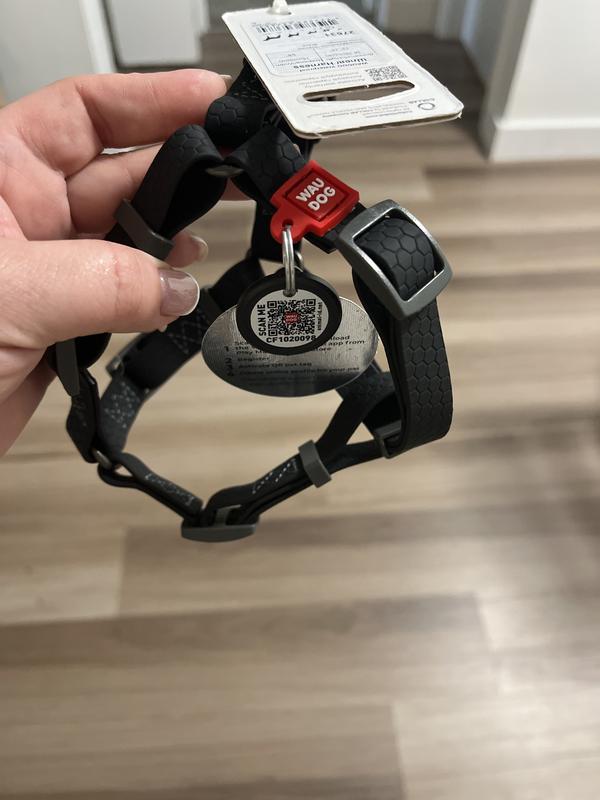 WAUDOG Waterproof Dog Harness with QR Tag, Blue, Large - Chewy.com
