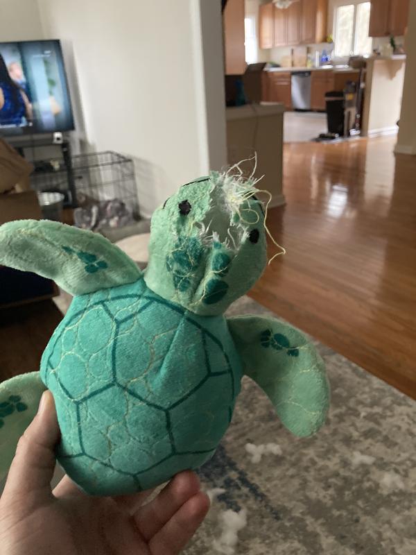 BITE FORCE Built with Kevlar Tough Plush Turtle Dog Toy, Green - Chewy.com
