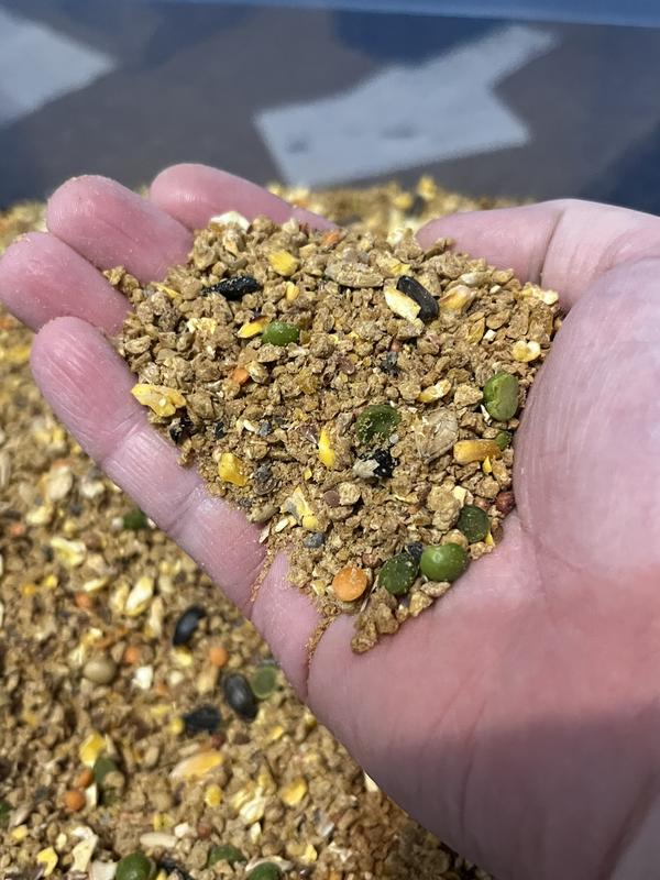 KALMBACH FEEDS Chickhouse Reserve Extraordinary 18% Protein Chick ...