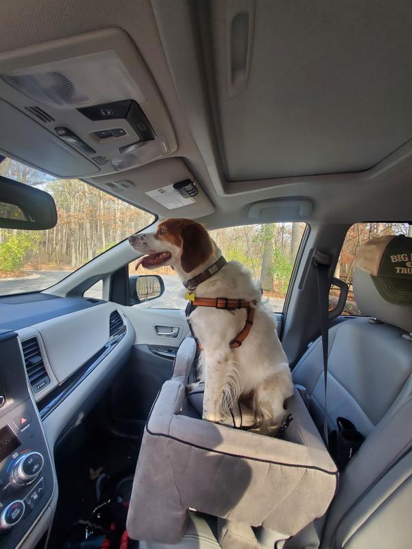 Temporarily Unavailable - PET GEAR Large Car Booster, Black - Chewy.com