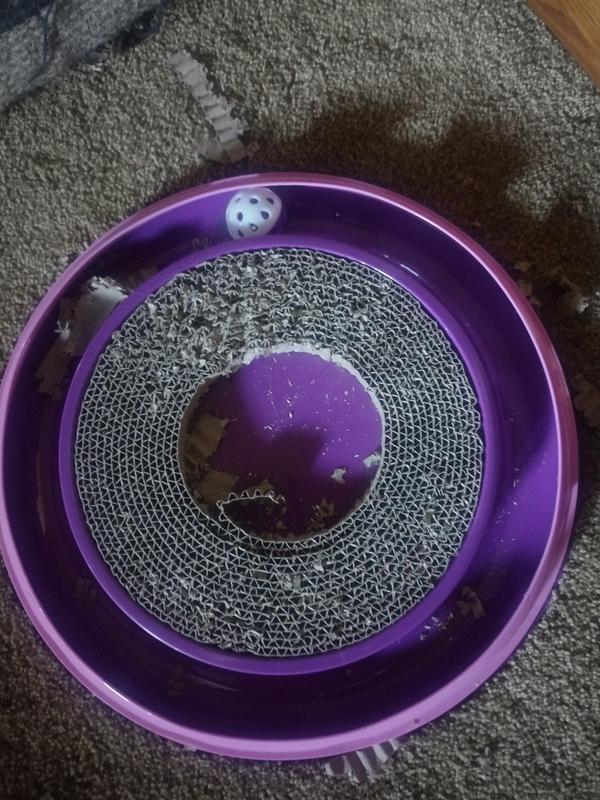 FRISCO Scratch & Roll Scratcher Cat Toy with Catnip, Purple - Chewy.com