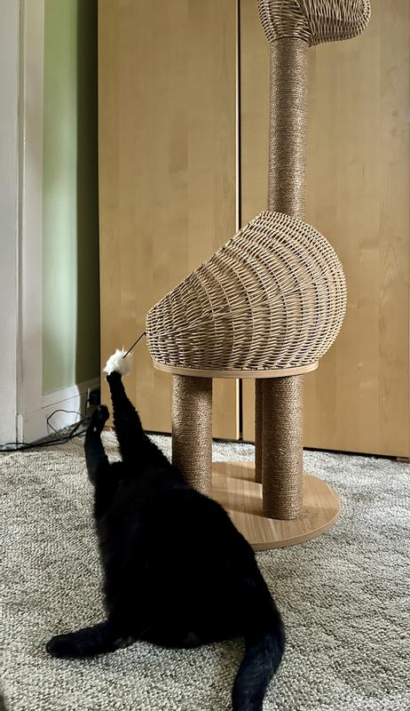 FRISCO Giraffe 51" Wicker Cat Tree & Condo - Chewy.com