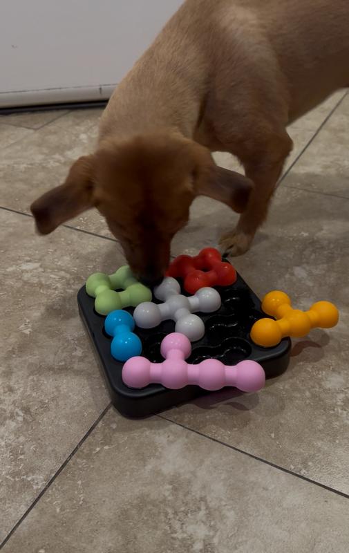 BRIGHTKINS Kanoodle Puzzle Dog Toy, Large - Chewy.com