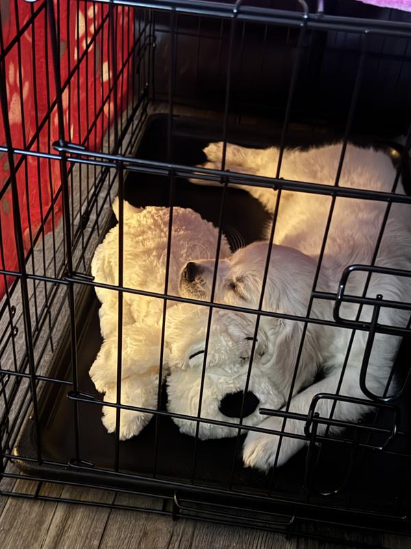 SNUGGLE PUPPY Original Snuggle Puppy Plush Dog Behavioral Aid Anxiety ...