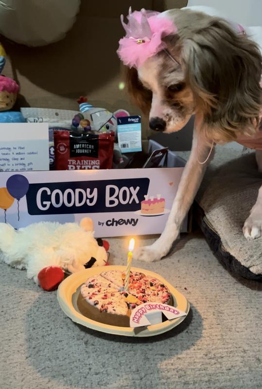 THE LAZY DOG COOKIE CO. Happy Birthday Pup-PIE Dog Treat, Girl - Chewy.com