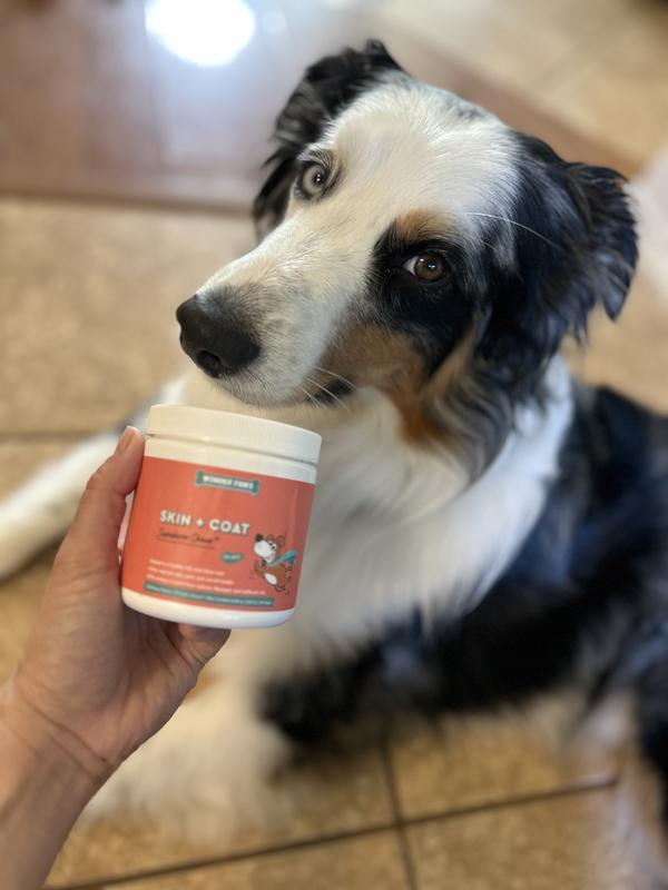 WONDER PAWS Skin & Coat Soft Chews Supplement for Dogs, 70 count ...
