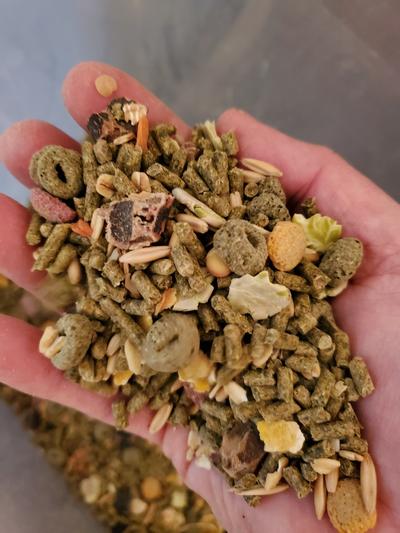 VITAKRAFT Menu Alfalfa Pellets Blend Vitamin & Mineral Fortified ...