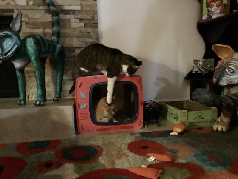 FRISCO TV Set Cardboard Cat House - Chewy.com