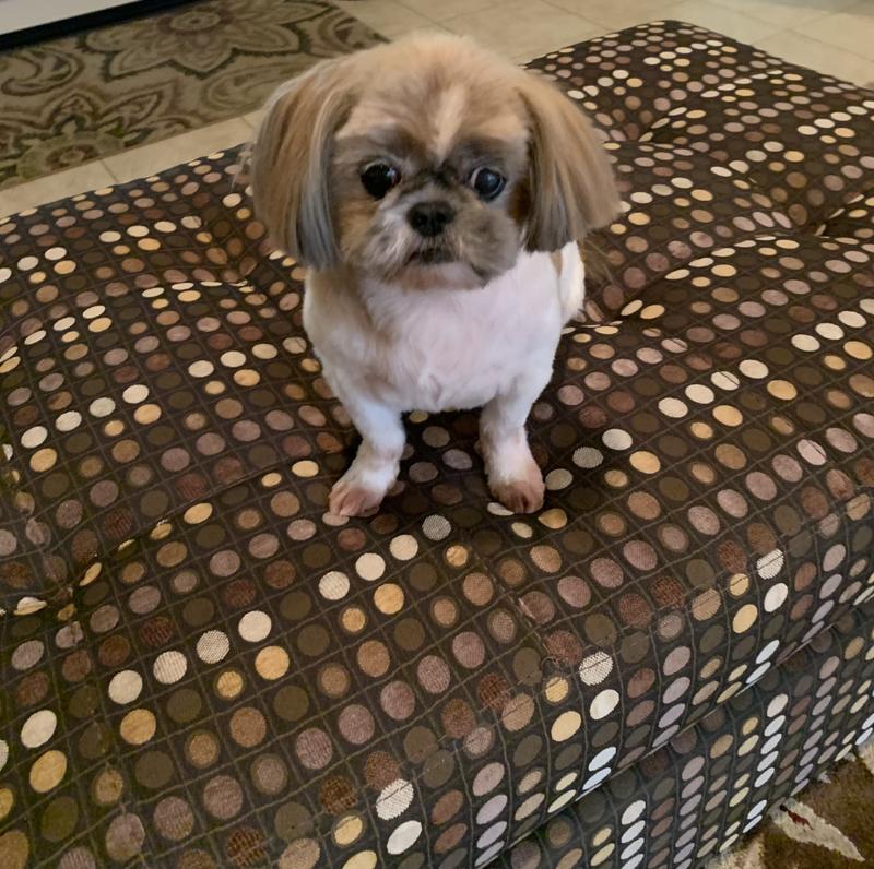 TACROLIMUS COMPOUNDED Aqueous Ophthalmic Suspension, 0.03%, 15 ml ...