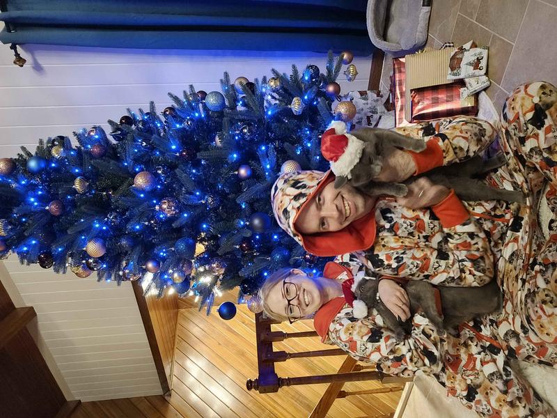 FRISCO Holiday Dog & Cat Santa Hat, 1 count, Medium/Large - Chewy.com