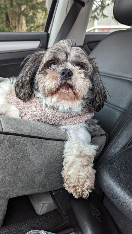 PET GEAR Medium Car Booster, Tan - Chewy.com