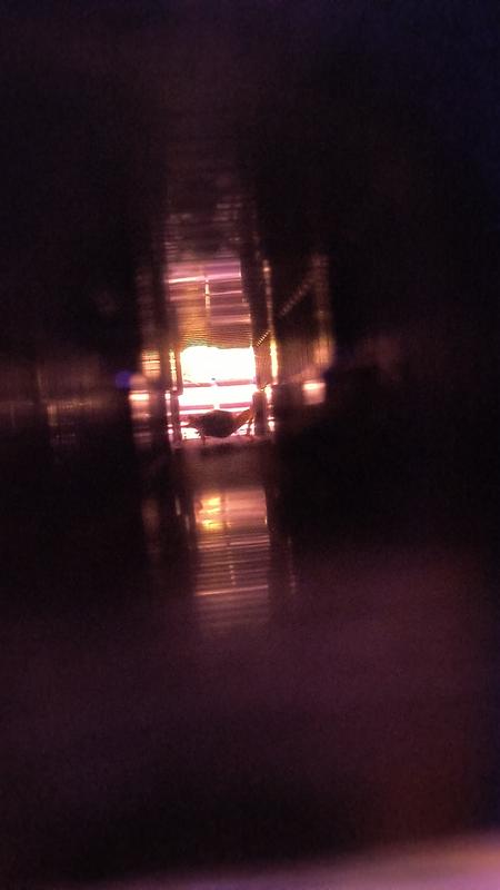 EXO TERRA Cricket Pen with Dispensing Tubes, Small: 2 tubes - Chewy.com