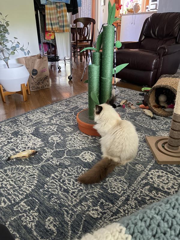 FRISCO Lucky Bamboo 35.5" Cat Scratching Posts with Toys - Chewy.com