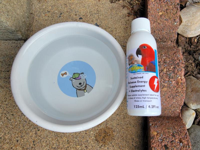 VETAFARM Spark Liquid Concentrate Bird Supplement, 4.2-oz bottle ...