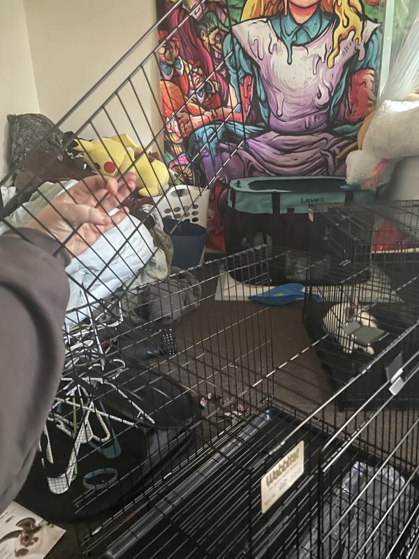 MIDWEST Wabbitat Rabbit Home, 25-in - Chewy.com