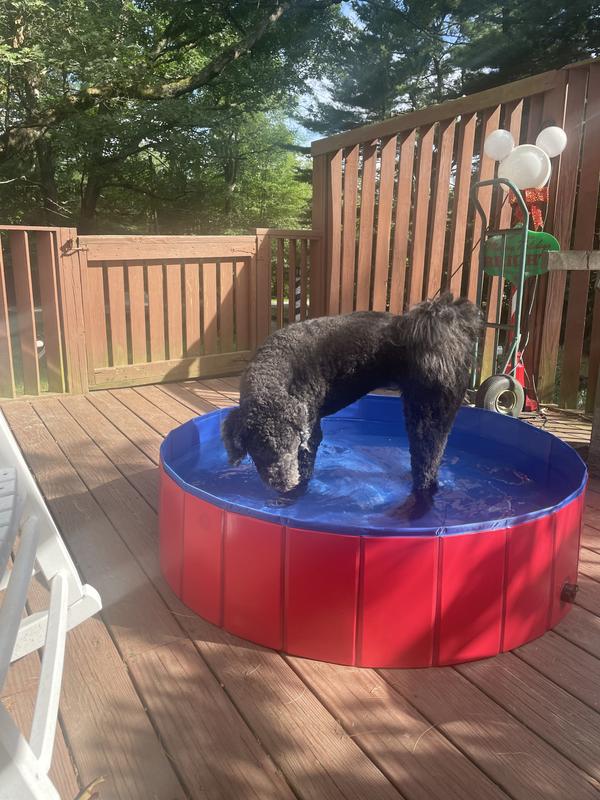 PET ADOBE Foldable Dog Pool, Blue, Large - Chewy.com