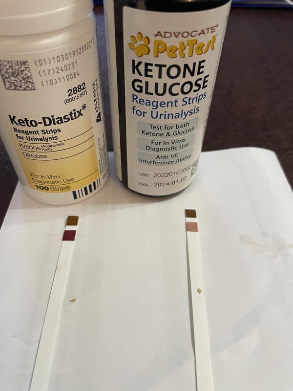 PetTest Urine Test Strips Ketone Glucose Strips For Dogs, 10/15/2023