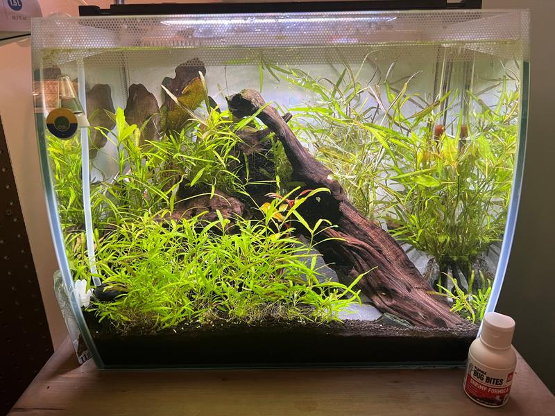 FLUVAL Fl Bug Bites Shrimp Formula Shrimp Food, 1.05-oz - Chewy.com