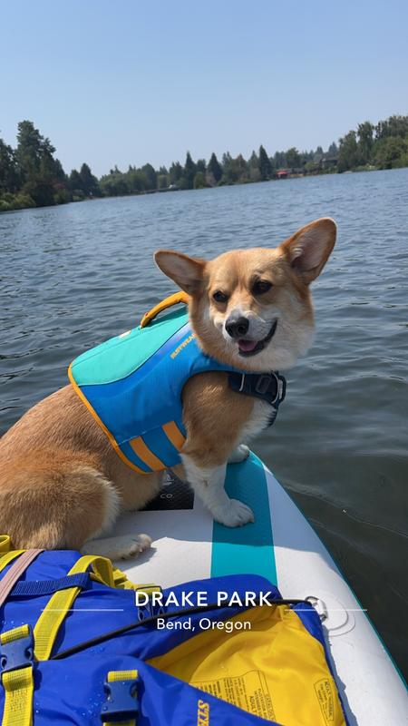 RUFFWEAR Float Coat Dog Life Jacket, Red Sumac, X-Large - Chewy.com