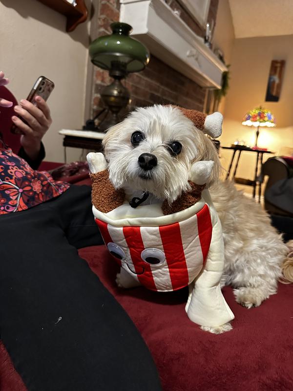 FRISCO Front Walking Fried Chicken Bucket with Adjustable Inseam Dog ...