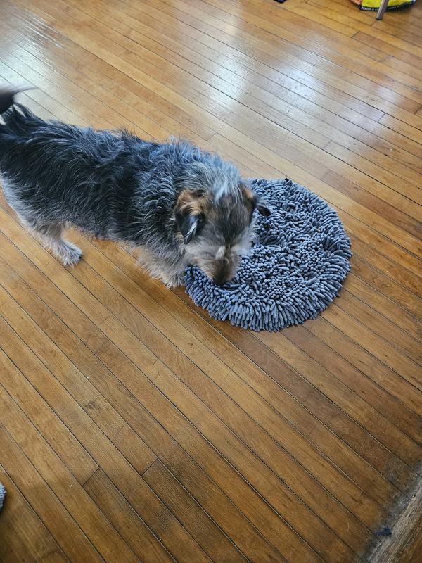FRISCO Snuffle Mat, Grey - Chewy.com