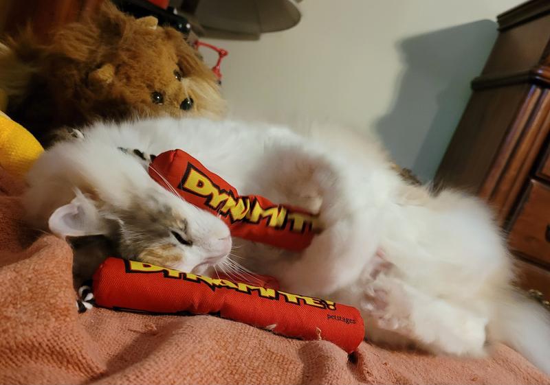 CATSTAGES Magic Dynamite Cat Toy with Catnip - Chewy.com