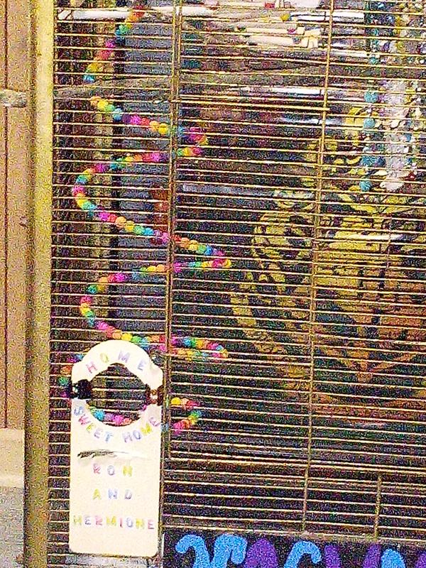 FRISCO Twisted Fun Bird Toy - Chewy.com