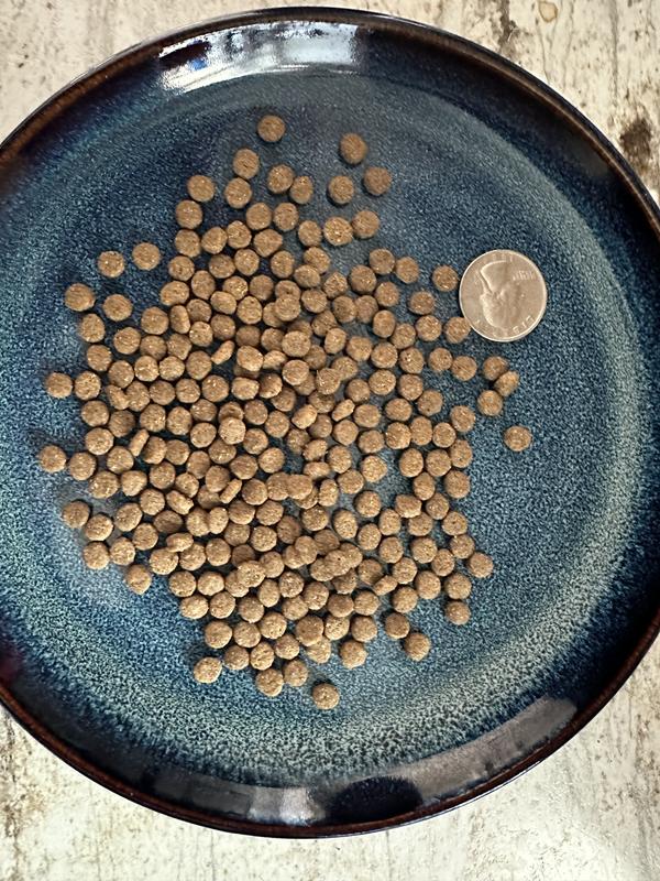 PETCUREAN SUMMIT Meadow Roast Recipe Dry Cat Food, 3-lb bag - Chewy.com