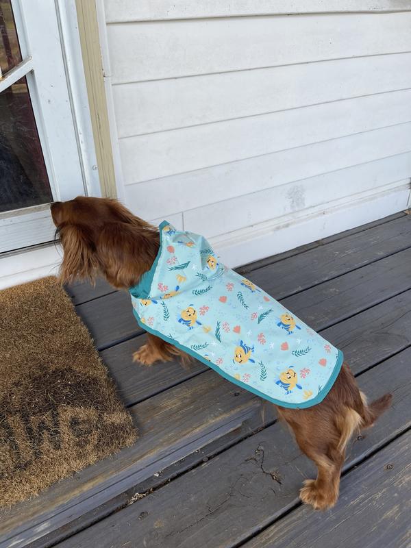 DISNEY Lightweight Flounder Print Dog & Cat Raincoat, X-Small - Chewy.com
