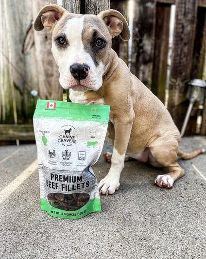 CANINE CRAVERS Premium Beef Fillets Dehydrated Dog Treats, 5.3-oz pouch ...