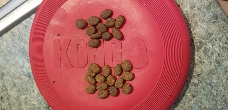 ORIJEN Amazing Grains Regional Red Dry Dog Food, 4-lb bag - Chewy.com