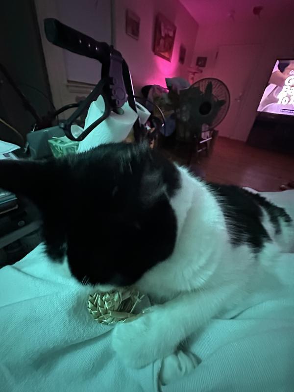 KONG Naturals Straw Balls Cat Toy, Straw Balls, 2-pack - Chewy.com