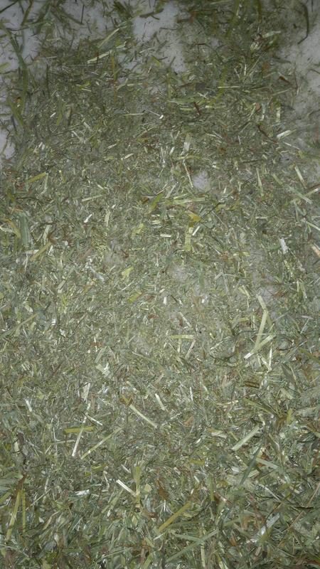 OXBOW Animal Health Harvest Hay Stacks Western Timothy Hay All Natural ...