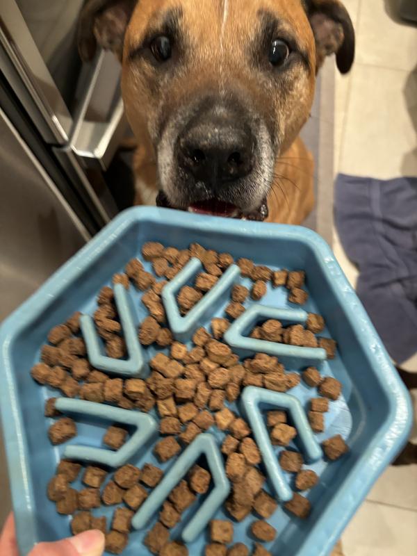 ZIWI Peak Beef with Pumpkin Recipe Steam & Dried Dog Food, 113.6-oz bag ...