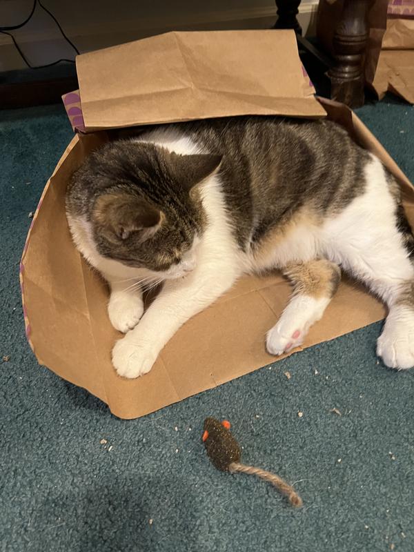 SMARTYKAT Instincts Mouser Mayhem HappyNip Silvervine & Catnip ...