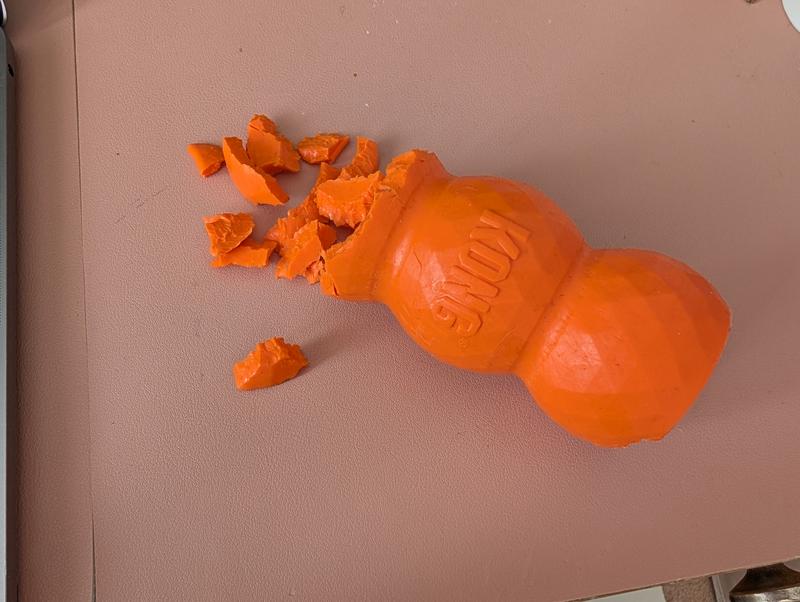 KONG Genius Mike Dog Toy, Color Varies, Large - Chewy.com