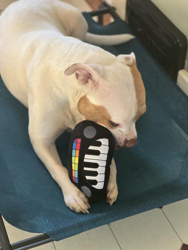 BARK Wonder Keyboard Squeaky Plush Dog Chew Toy, Small/Medium - Chewy.com