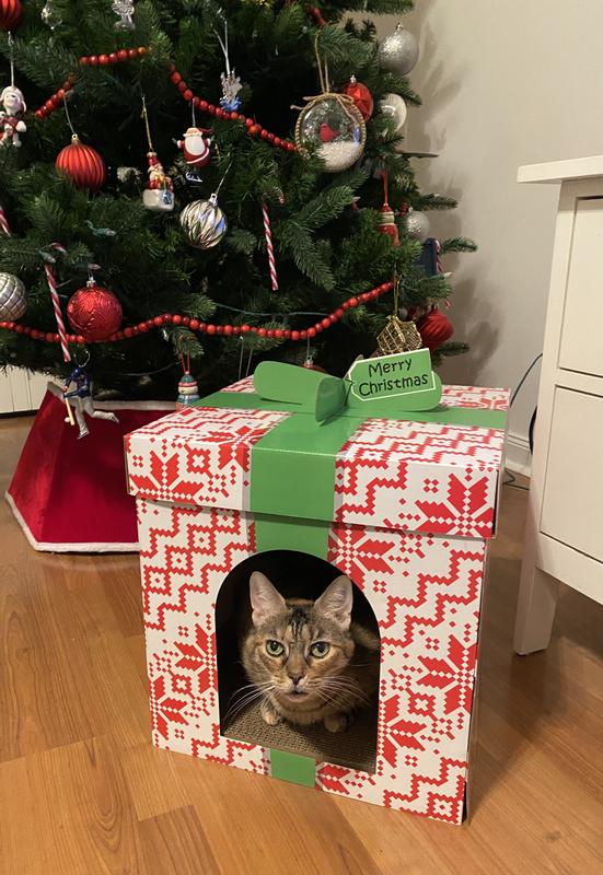 FRISCO Holiday Gift Box Cardboard Cat House - Chewy.com