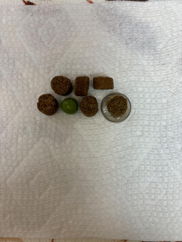 FIRSTMATE Grain Friendly Cage Free Duck Meal & Oats Formula Dry Dog ...