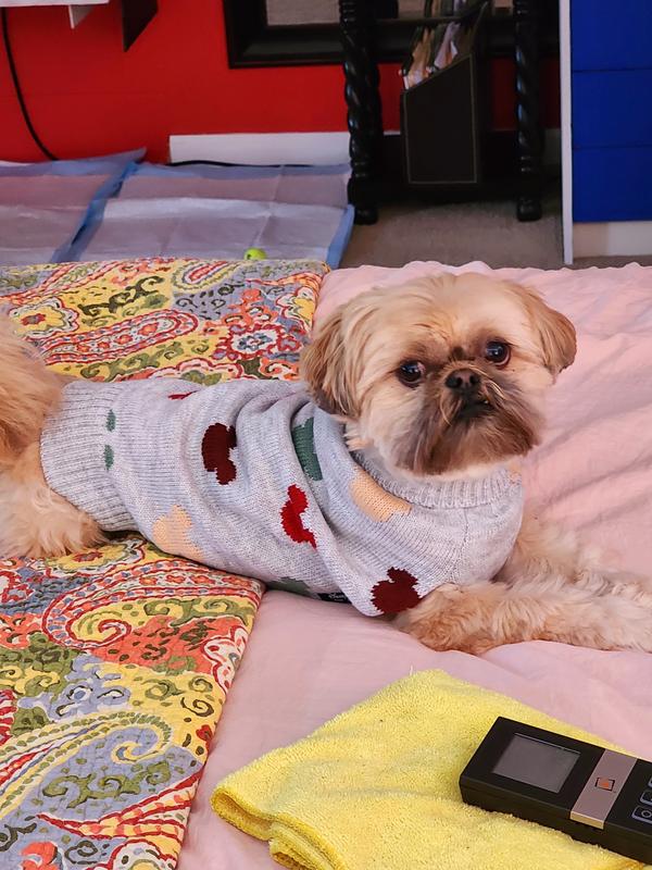 DISNEY Mickey Mouse Confetti Dog & Cat Sweater, Medium - Chewy.com