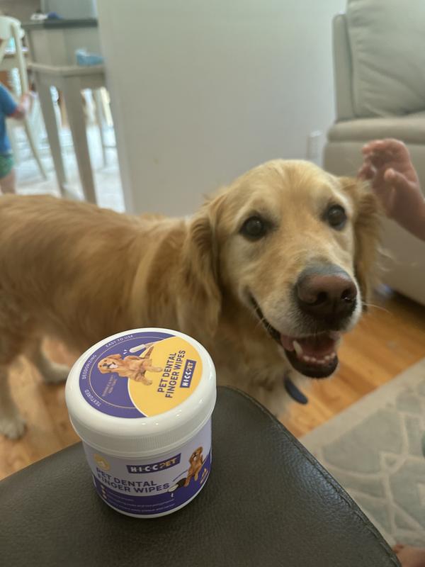 HICC PET Finger Glove Cat & Dog Dental Wipes, 50 count - Chewy.com
