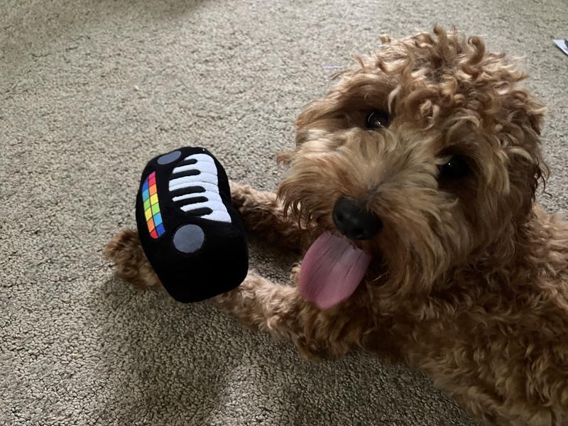 BARK Wonder Keyboard Squeaky Plush Dog Chew Toy, Small/Medium - Chewy.com