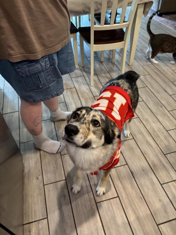 PETS FIRST NFLPA Dog & Cat Jersey, Patrick Mahomes, Large - Chewy.com