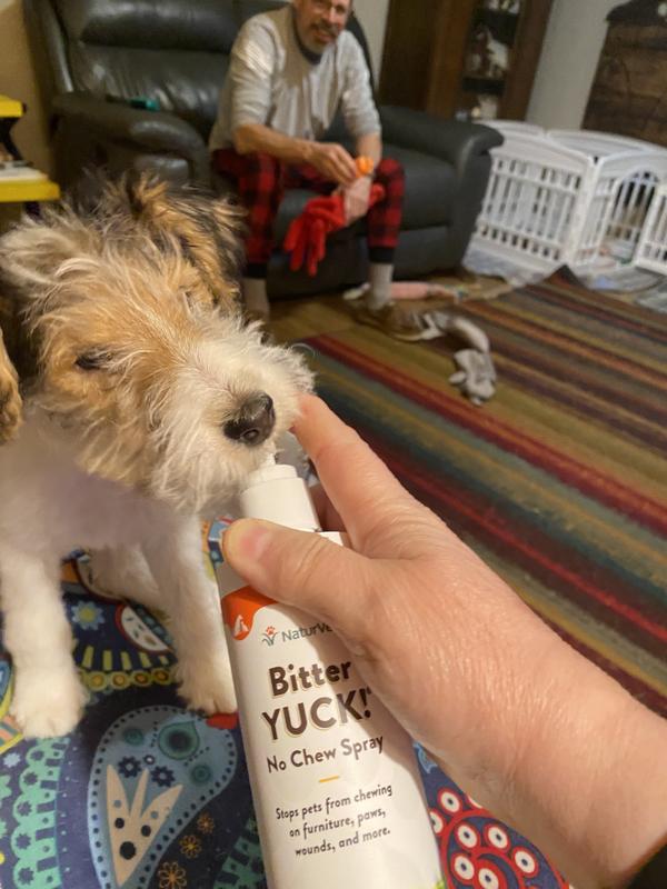 NATURVET Bitter YUCK! No Chew Dog, Cat & Horse Spray, 8-fl oz bottle ...