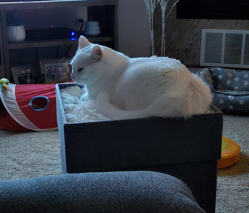 FRISCO Single Cube Stackable & Collapsible Cat Condo, Gray - Chewy.com