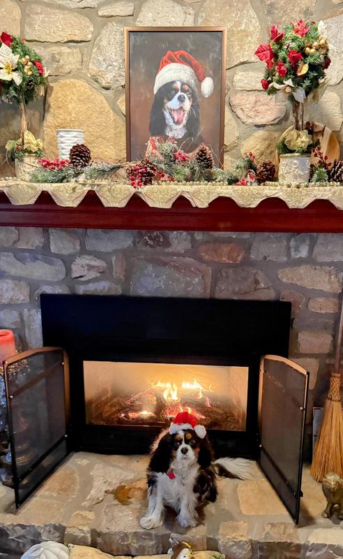 FRISCO Holiday Dog & Cat Santa Hat, 1 count, Medium/Large - Chewy.com