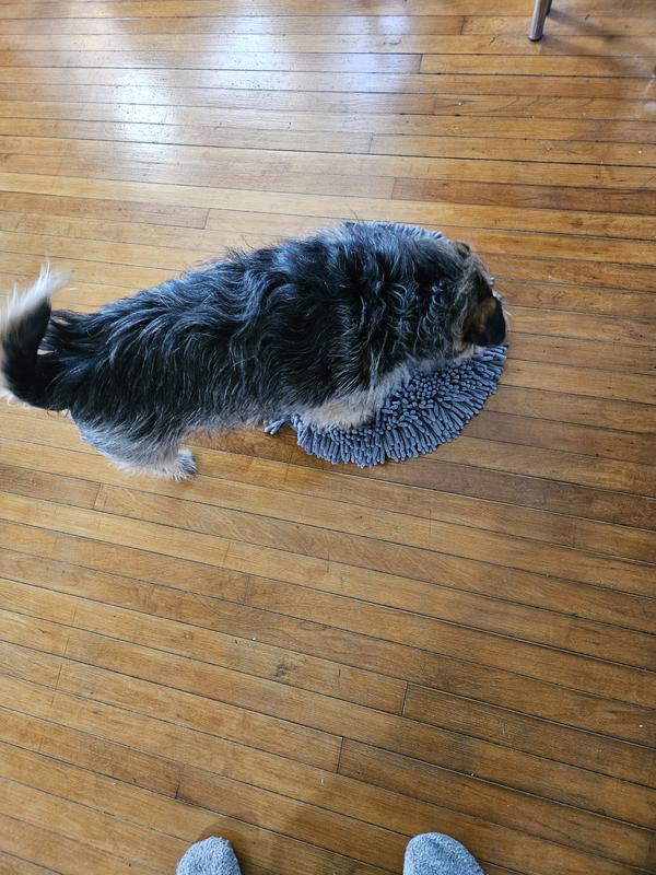 FRISCO Snuffle Mat, Grey - Chewy.com