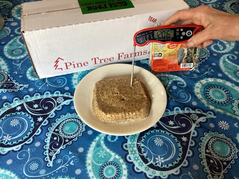 PINE TREE FARMS Never Melt Suet Peanut Cake Bird Food, 12-oz tray, 12 ...